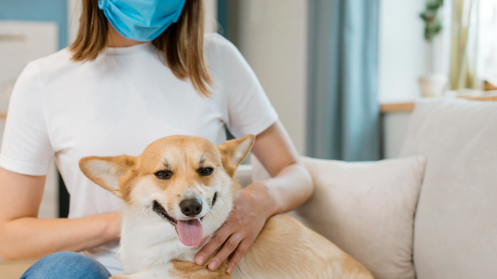 Consent Form | Animal Health Clinic